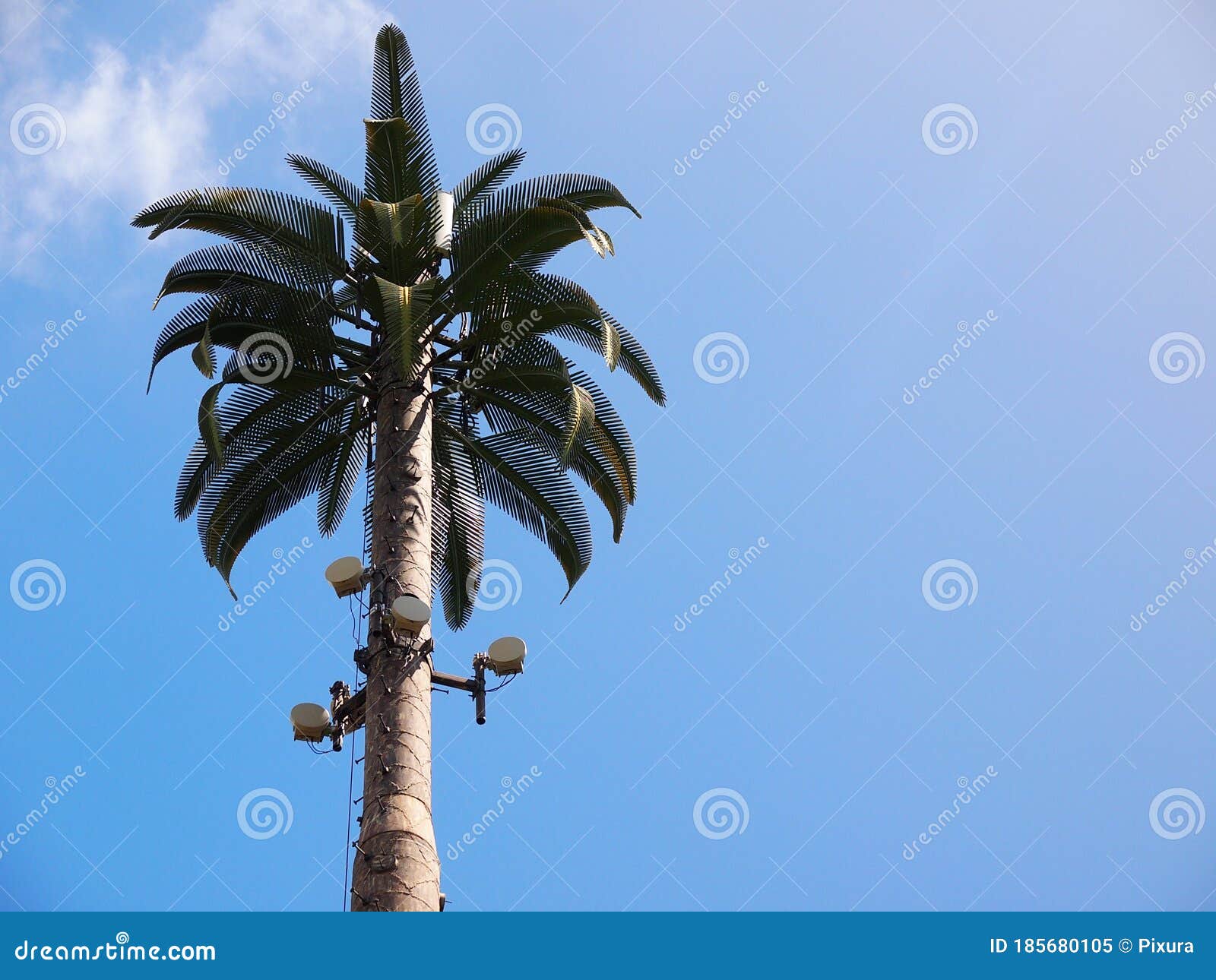 Cellphone Tower As a Palm Tree Stock Image - Image of infrastructure ...