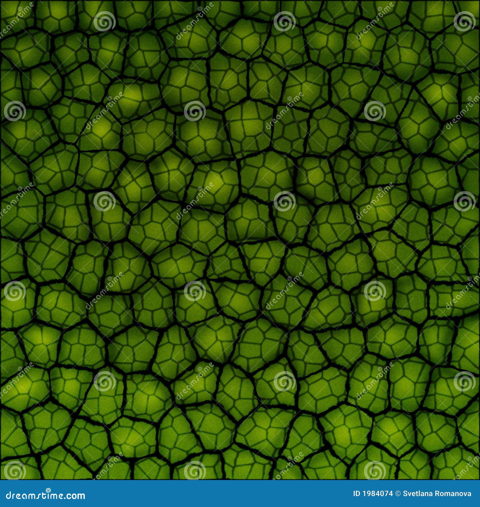 Cells stock photo. Image of cells, abstract, texture, background - 1984074