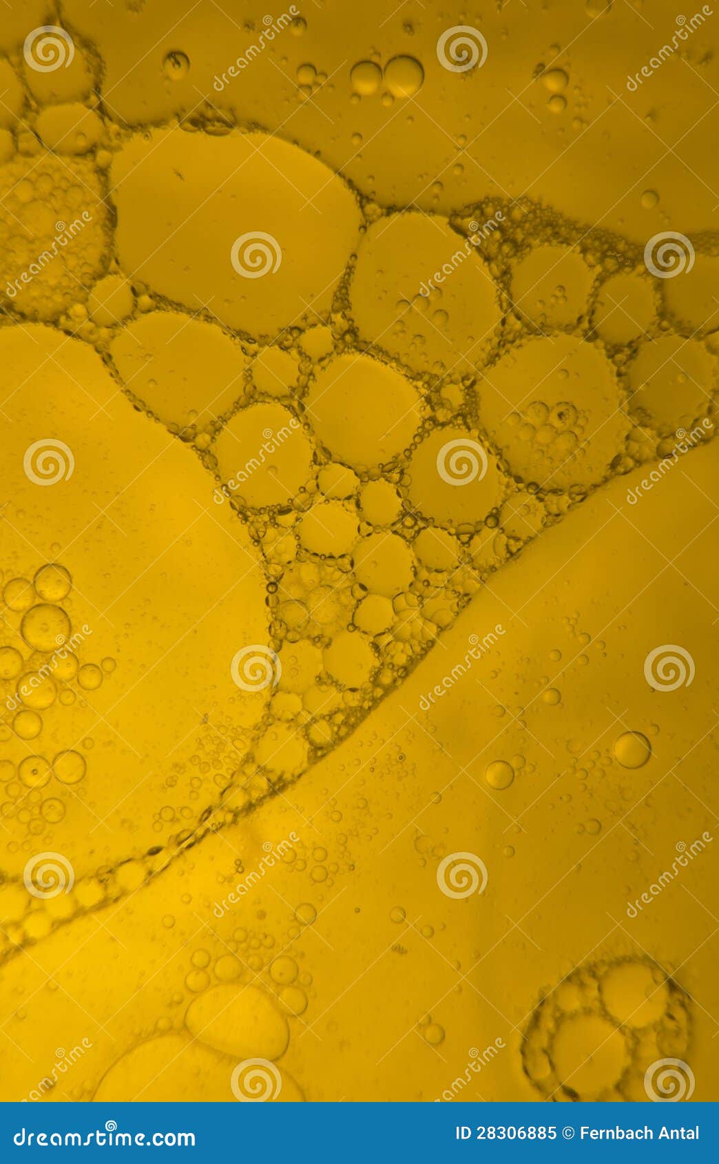 Cells stock image. Image of liquid, fizz, exhilarating - 28306885