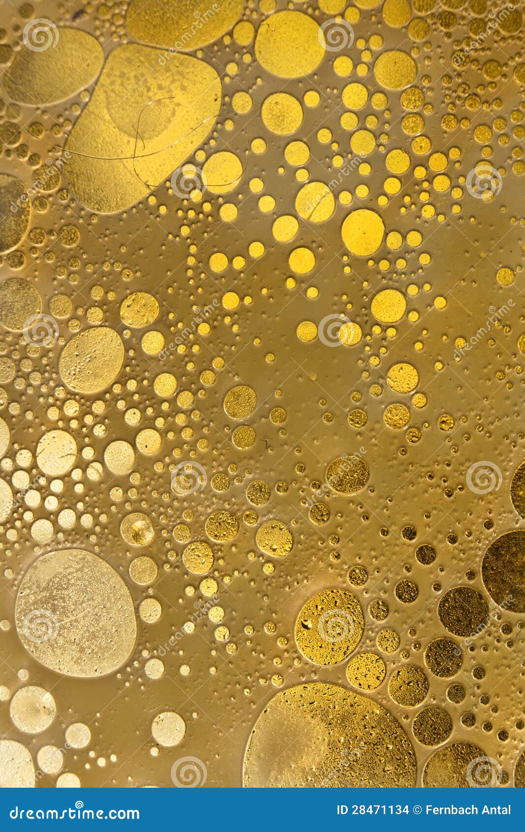 Cells stock photo. Image of deep, light, homogeneous - 28471134