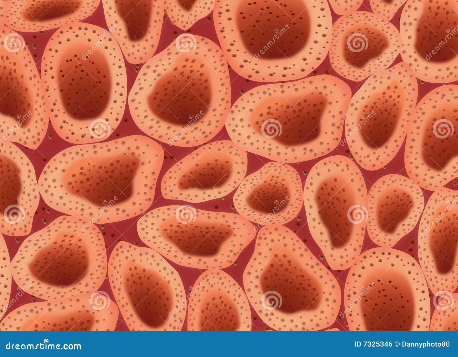 Cells background texture stock illustration. Illustration of slow - 7325346