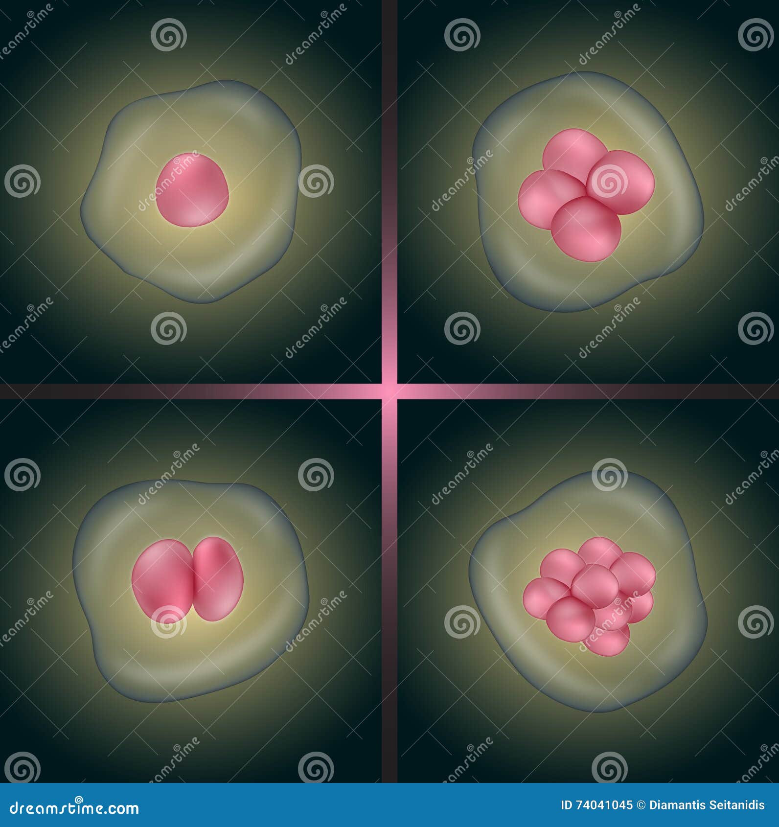 Cells - Biology stock illustration. Illustration of transparent - 74041045