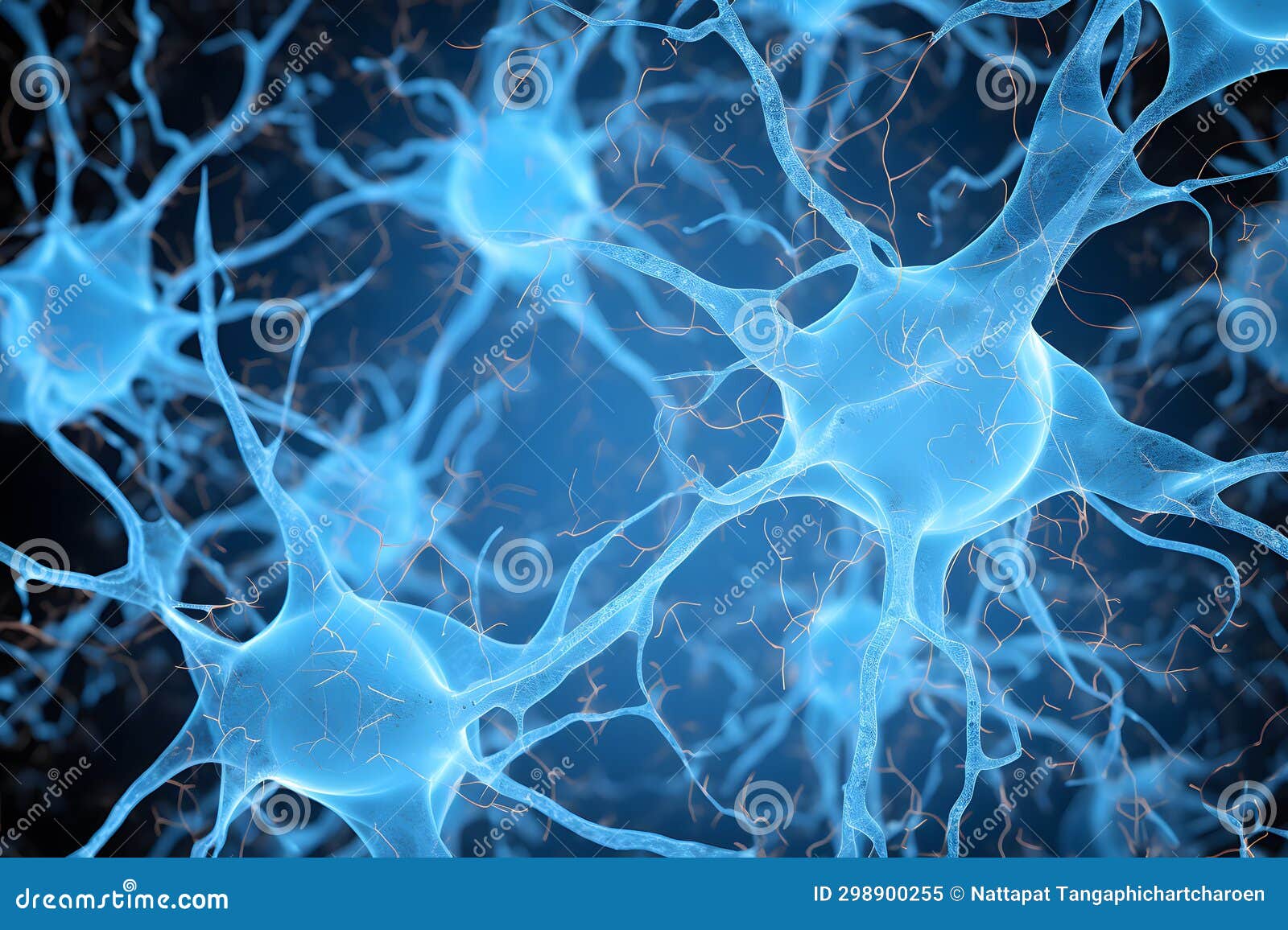 Cells of Brain Electron Microscopy of Brain Neural Network, Generated ... Cells of Brain Electron Microscopy of Brain Neural Network, Generated ...