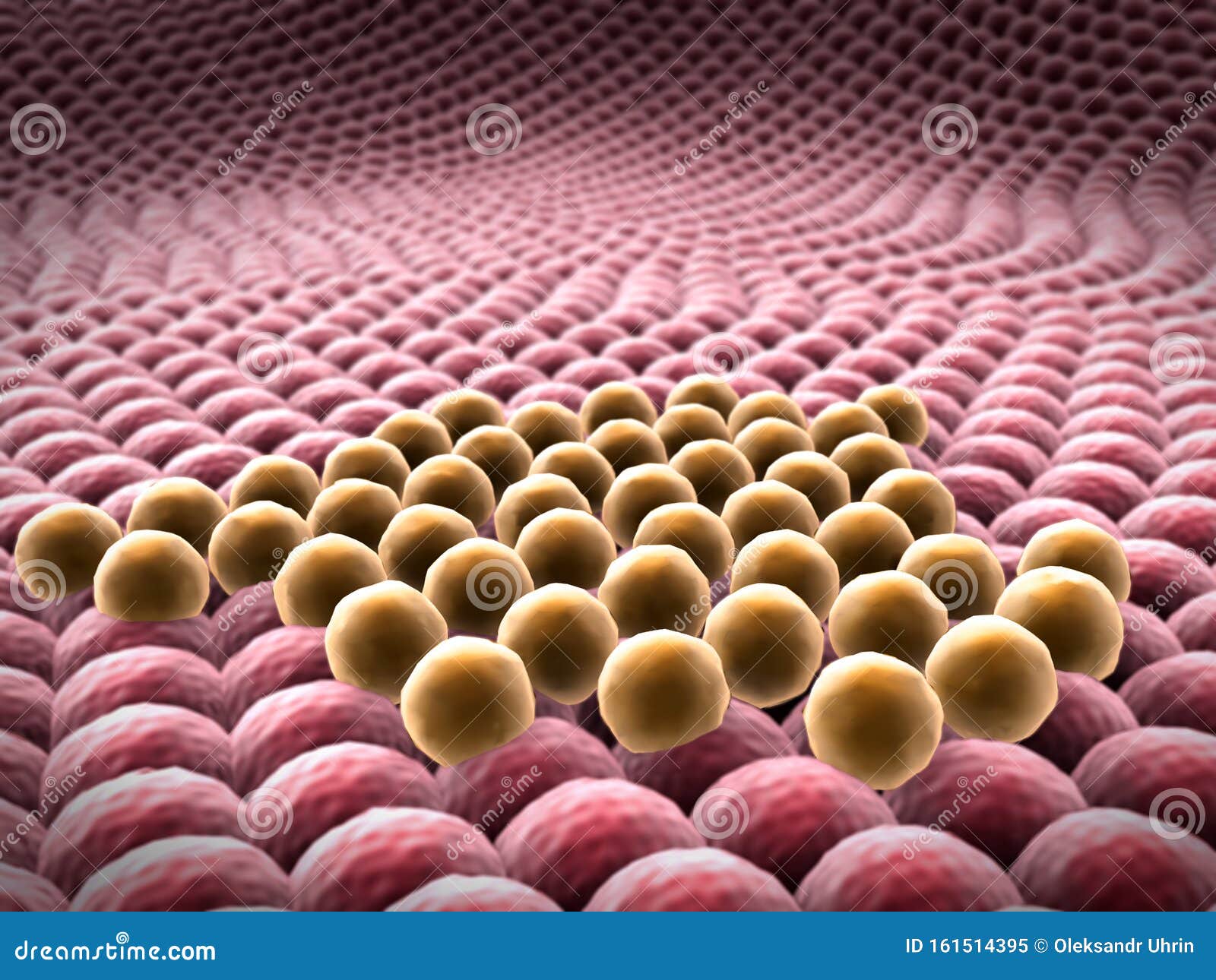 Cells and cancer cells stock illustration. Illustration of fatty ...