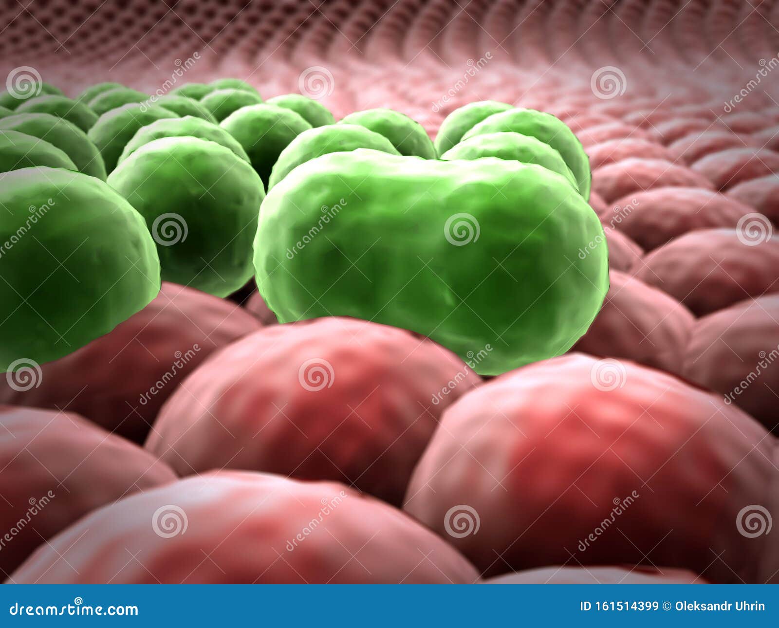 Cells and cancer cells stock illustration. Illustration of chromosome ...