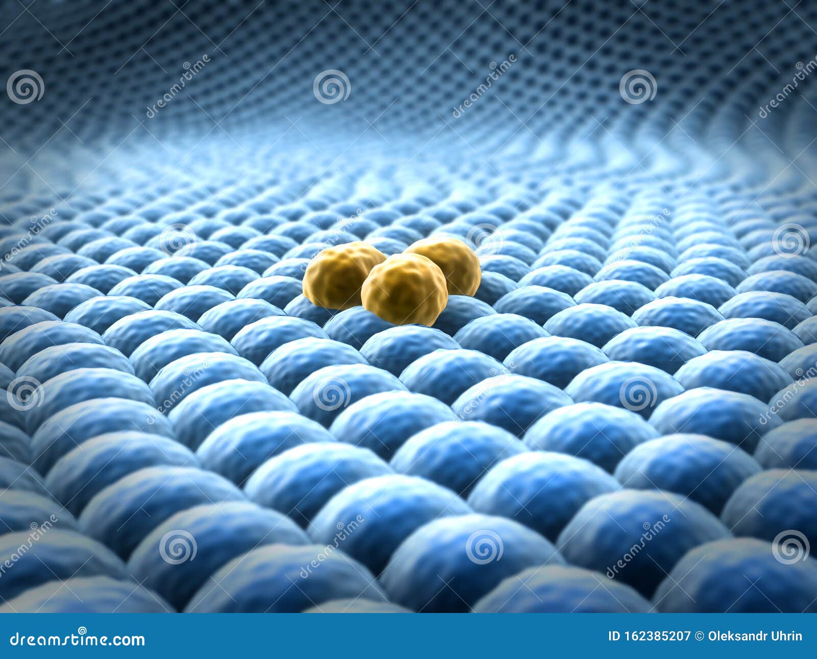 Multiplication And Cell Cycle Royalty-Free Stock Photo | CartoonDealer ...