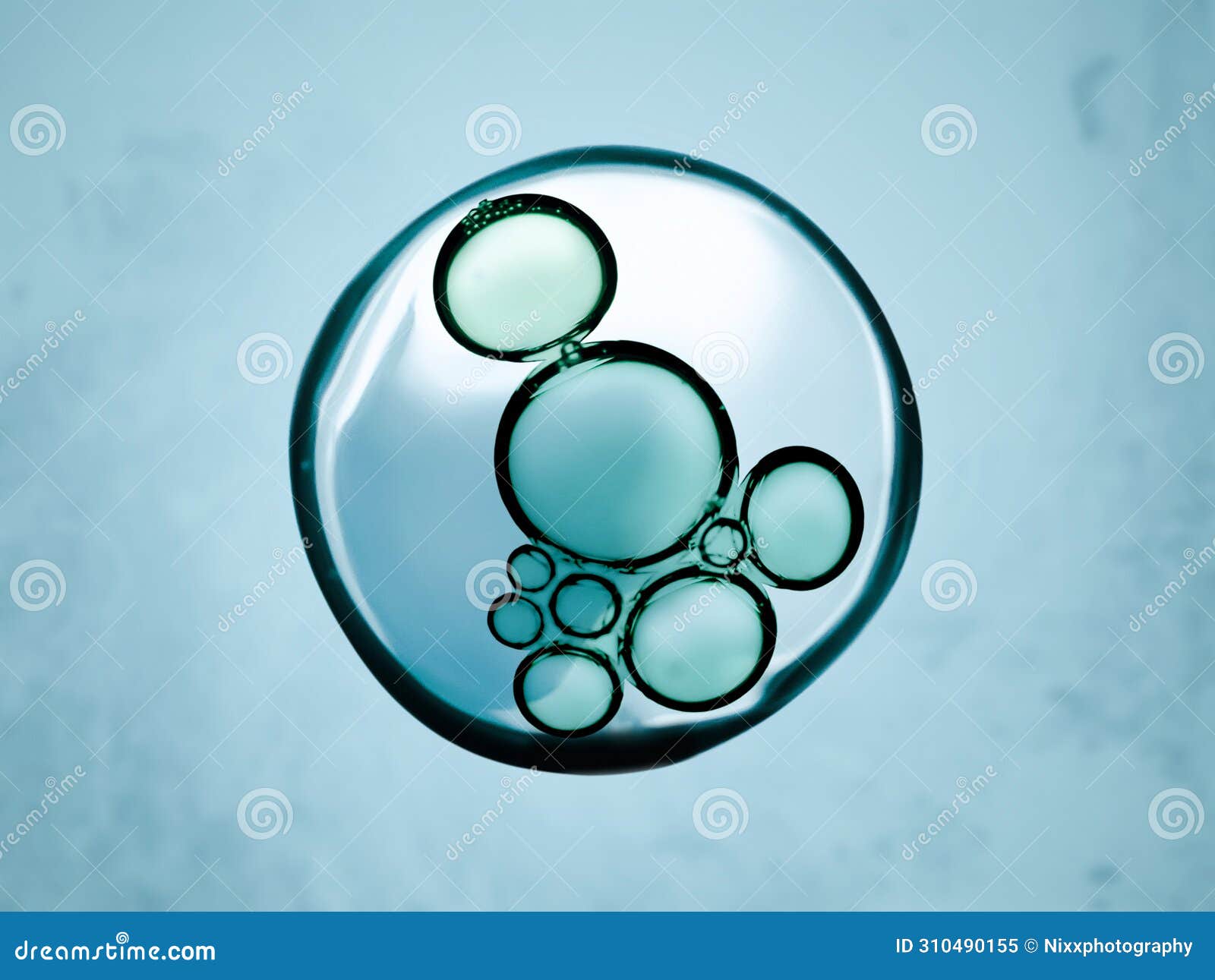 Cells Division Process, Cell Divides into Two Cells Stock Image - Image ...