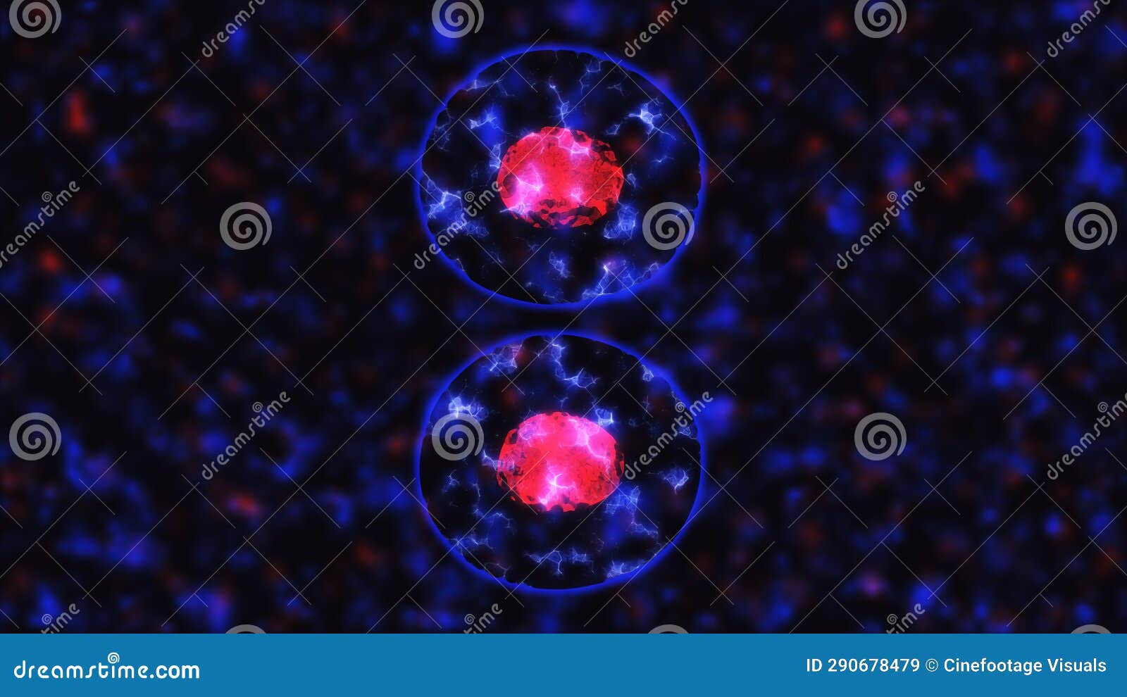 Cells Division Under the Microscope Stock Illustration - Illustration ...