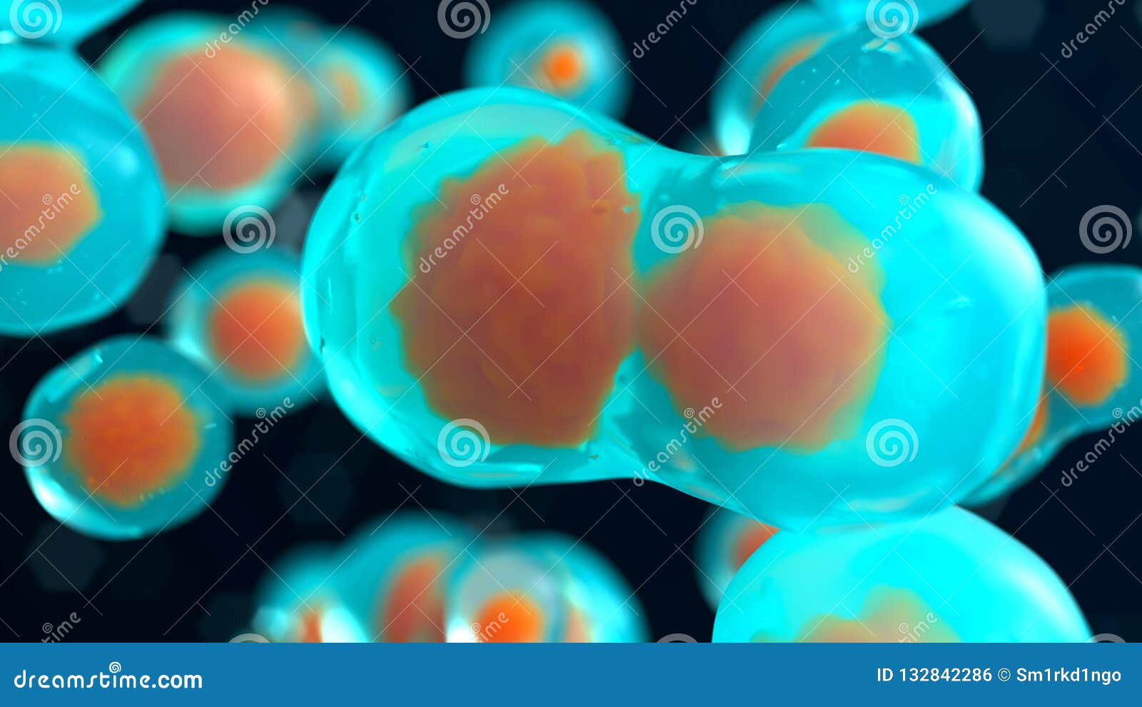Cells Embryo. Mitosis Under Microscope Stock Illustration ...