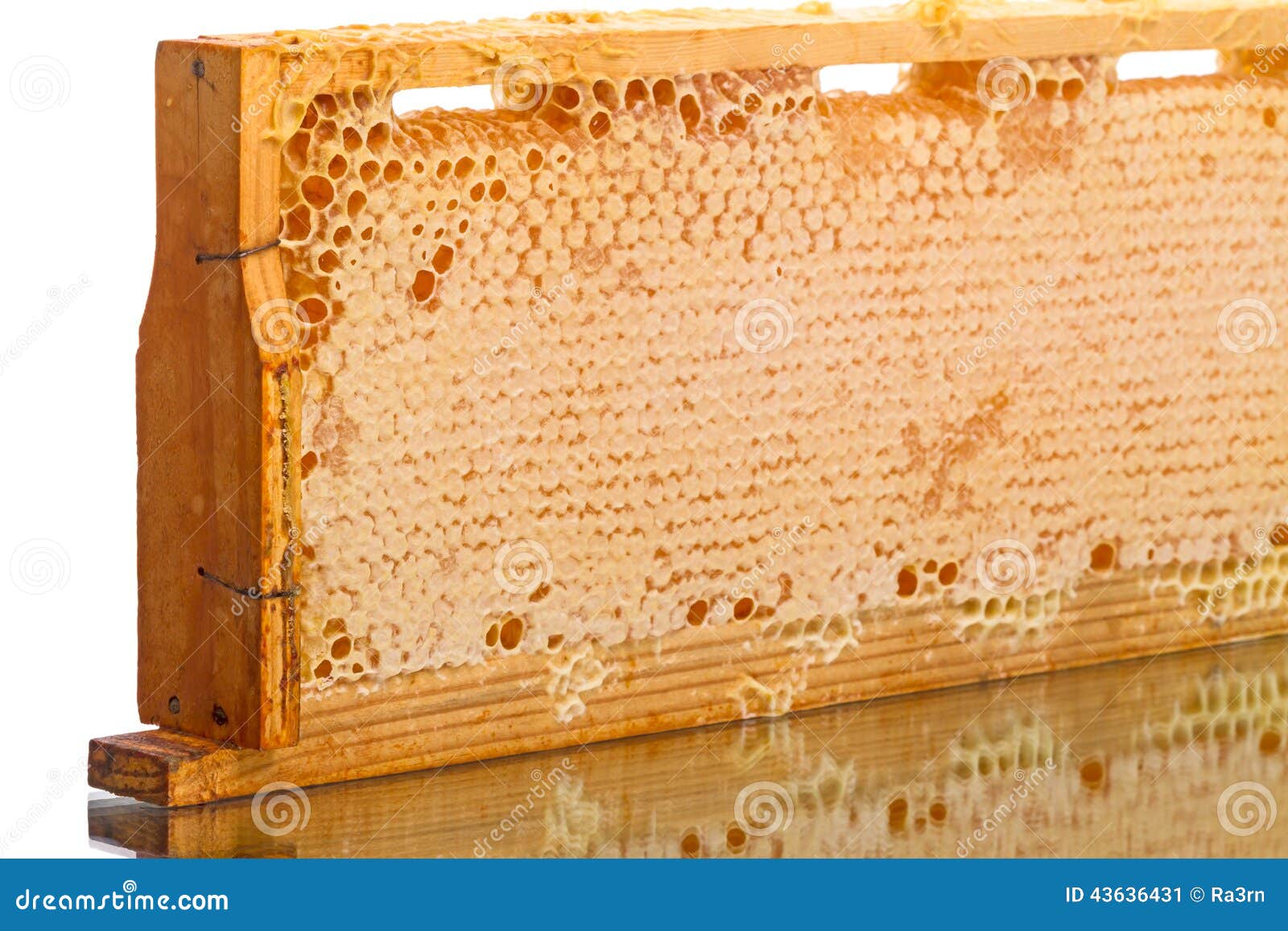 Cells of the Hive with Honey Stock Image - Image of animal, harvesting ...