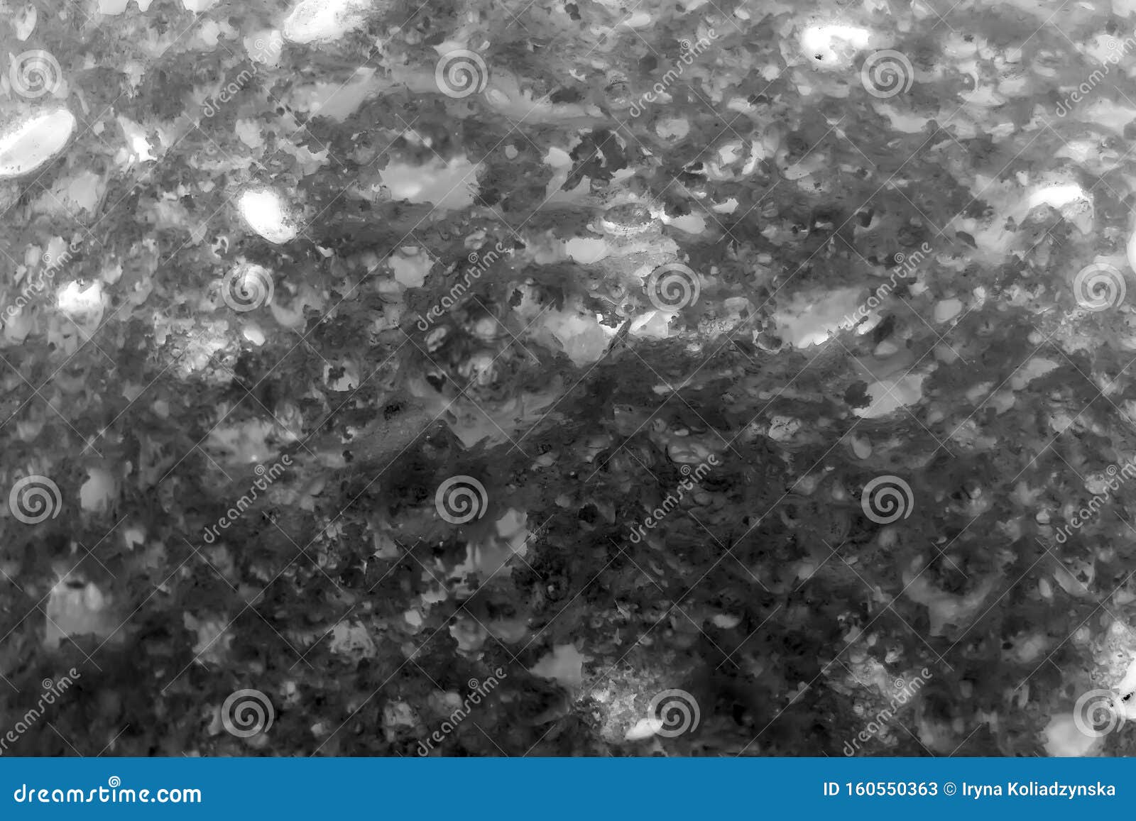 Cells of the Human Body Under the Microscope. Microbiology and Medicine ...