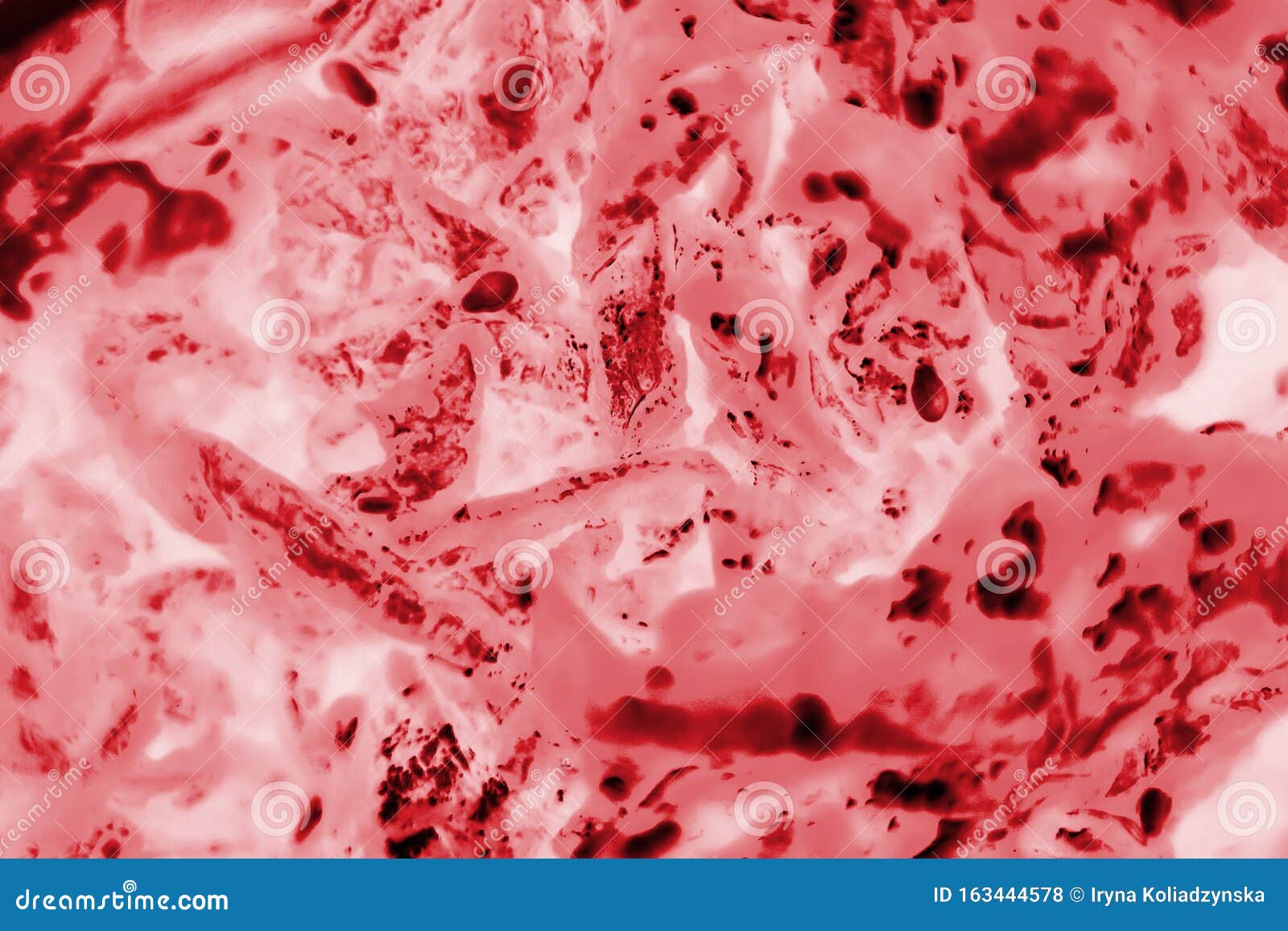 Cells of the Human Body Under the Microscope. Microbiology and Medicine ...