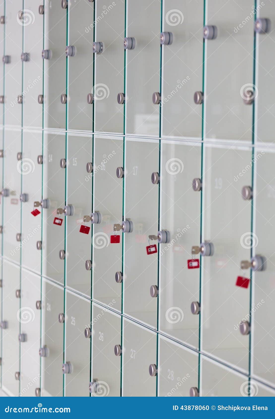 Office Cells Royalty-Free Stock Photo | CartoonDealer.com #10972263