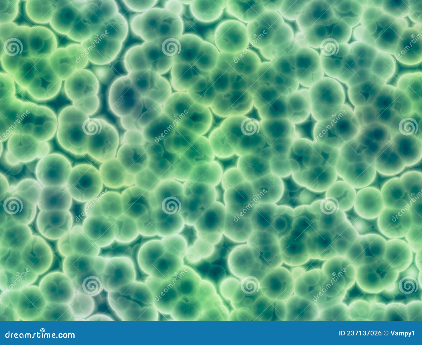 Cells, Micro Organisms, Life Formation. Cell Duplication. Formation of ...