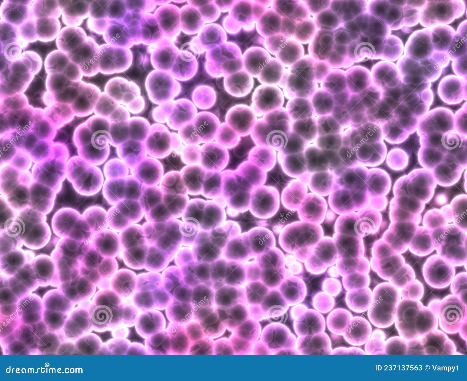 Cells, Micro Organisms, Life Formation. Cell Duplication. Formation of ...
