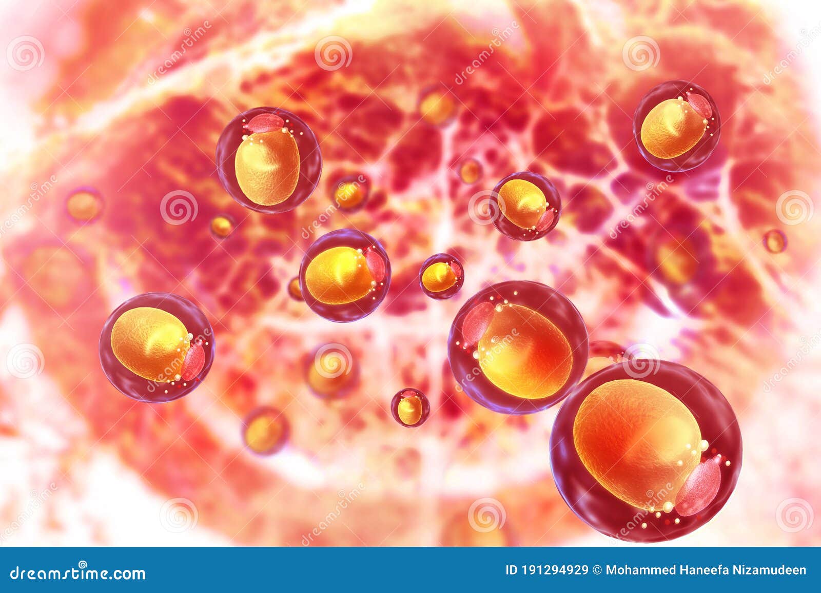 Cells with Nucleus on Scientific Background Stock Illustration ...