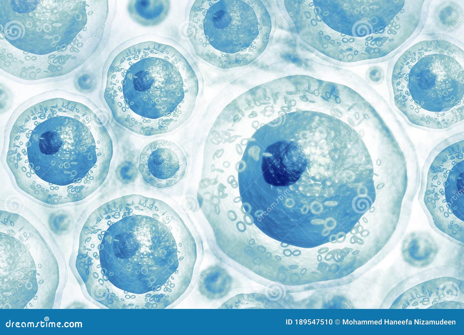 Cells on Scientific Background Stock Illustration - Illustration of ...