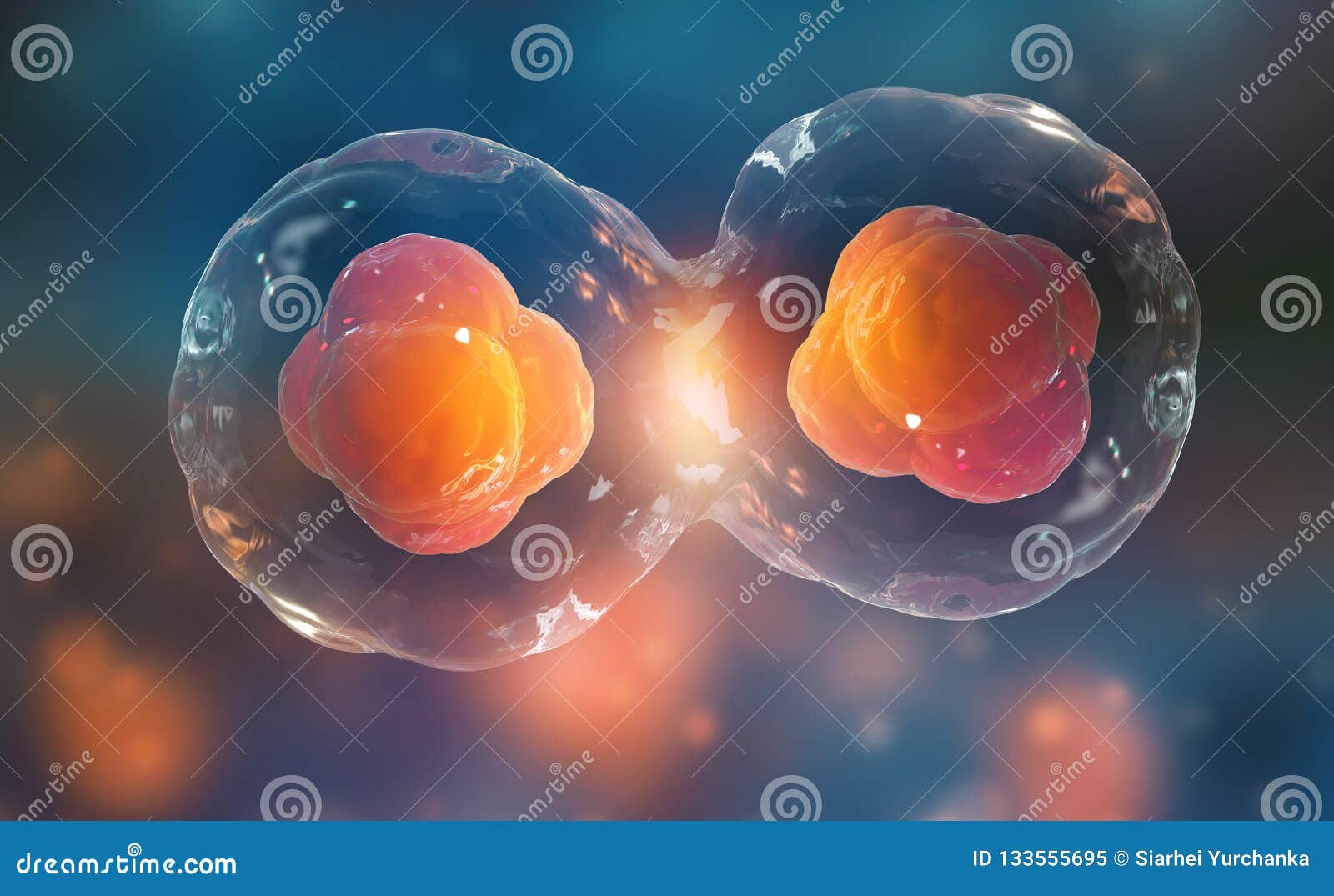 Cells Under a Microscope. Cell Division Stock Illustration ...