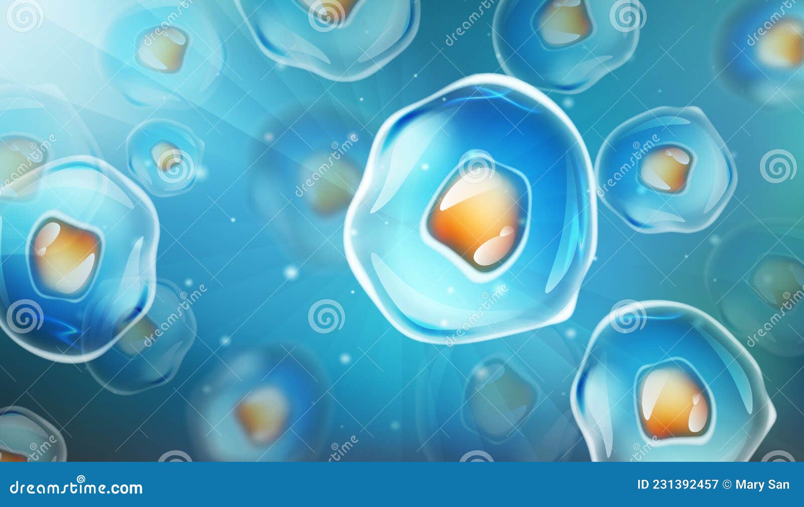 Cellular Division Under Microscope. Mitosis, The Process Of Cell ...