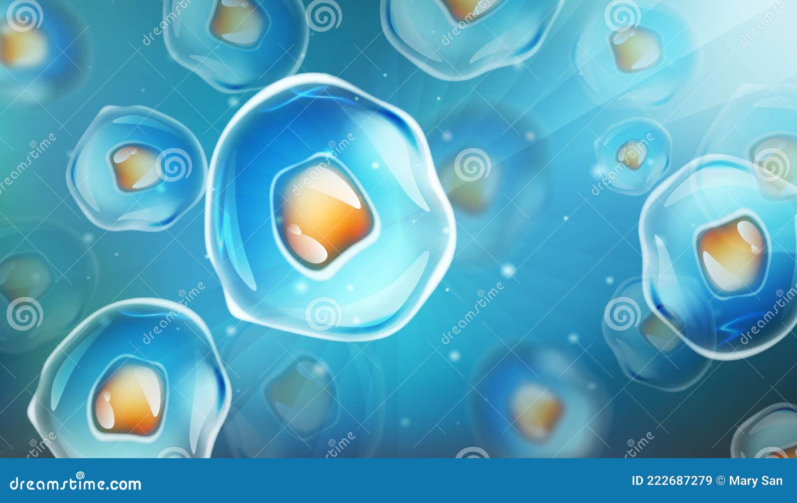 Cells Under a Microscope. Research of Stem Cells. Cellular Therapy ...