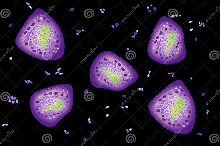 Cells or Unicellular Organisms Vector Pattern Stock Illustration ...