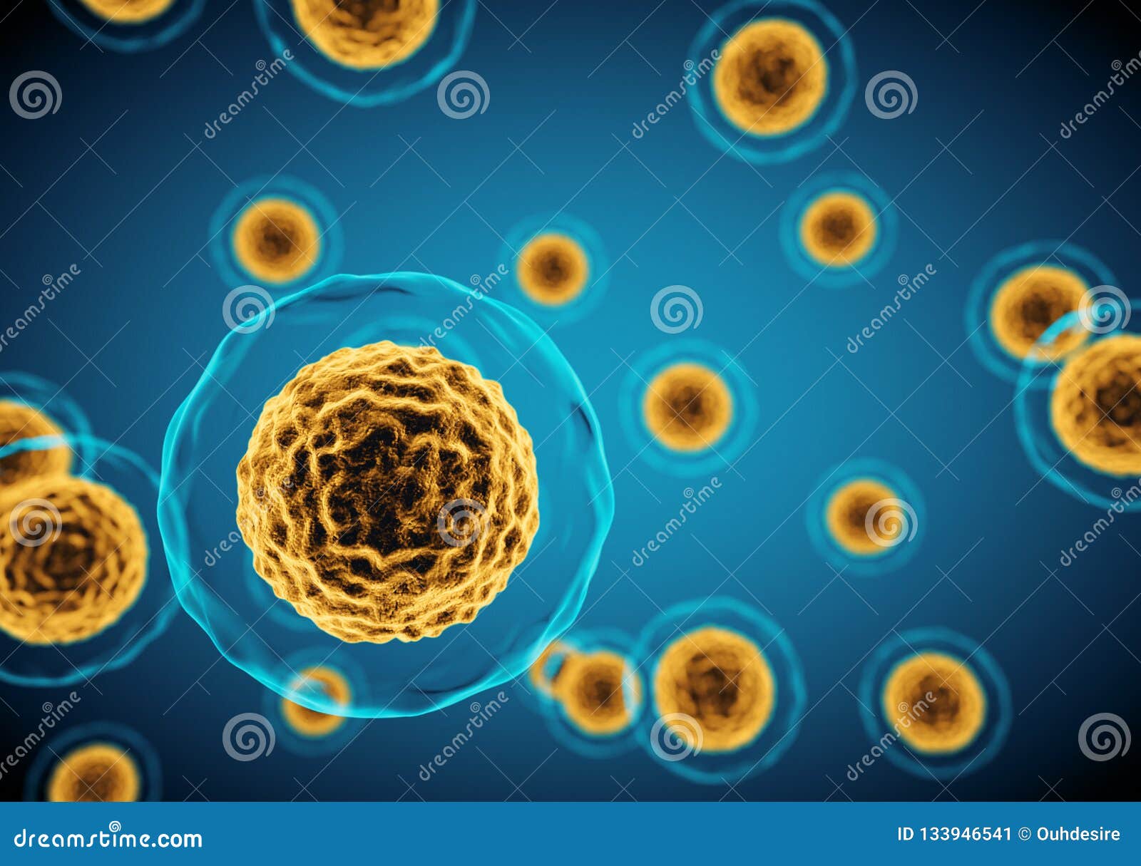 Cells View Under a Microscope. Stock Illustration - Illustration of ...
