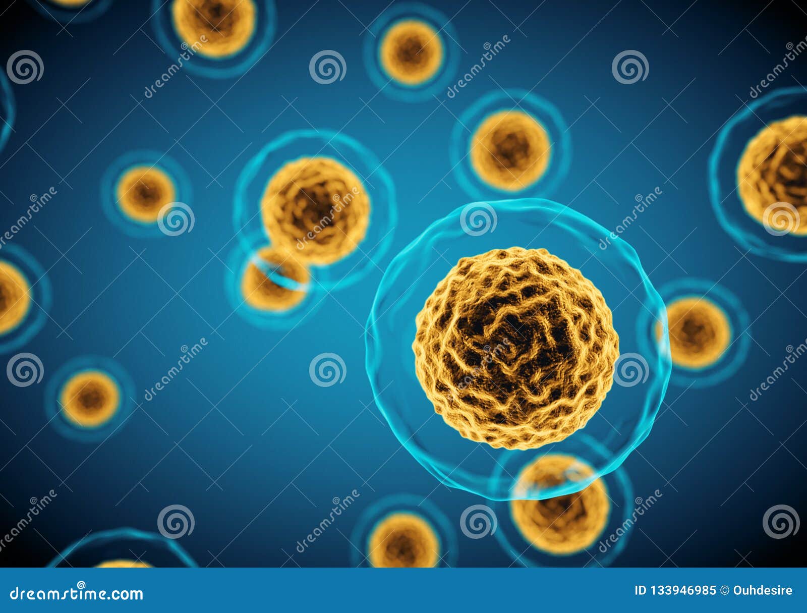 Cells View Under a Microscope. Stock Illustration - Illustration of ...