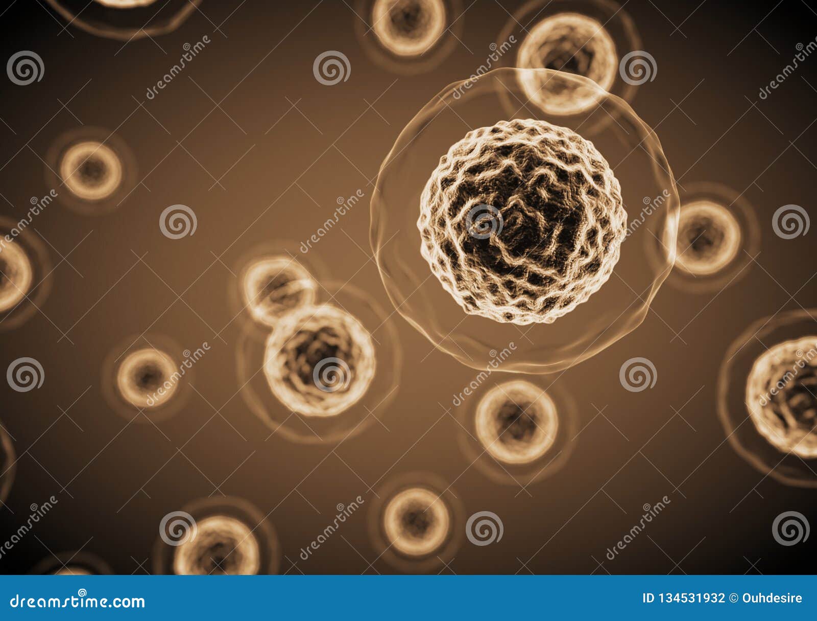 Cells View Under A Microscope. Royalty-Free Stock Image | CartoonDealer ...