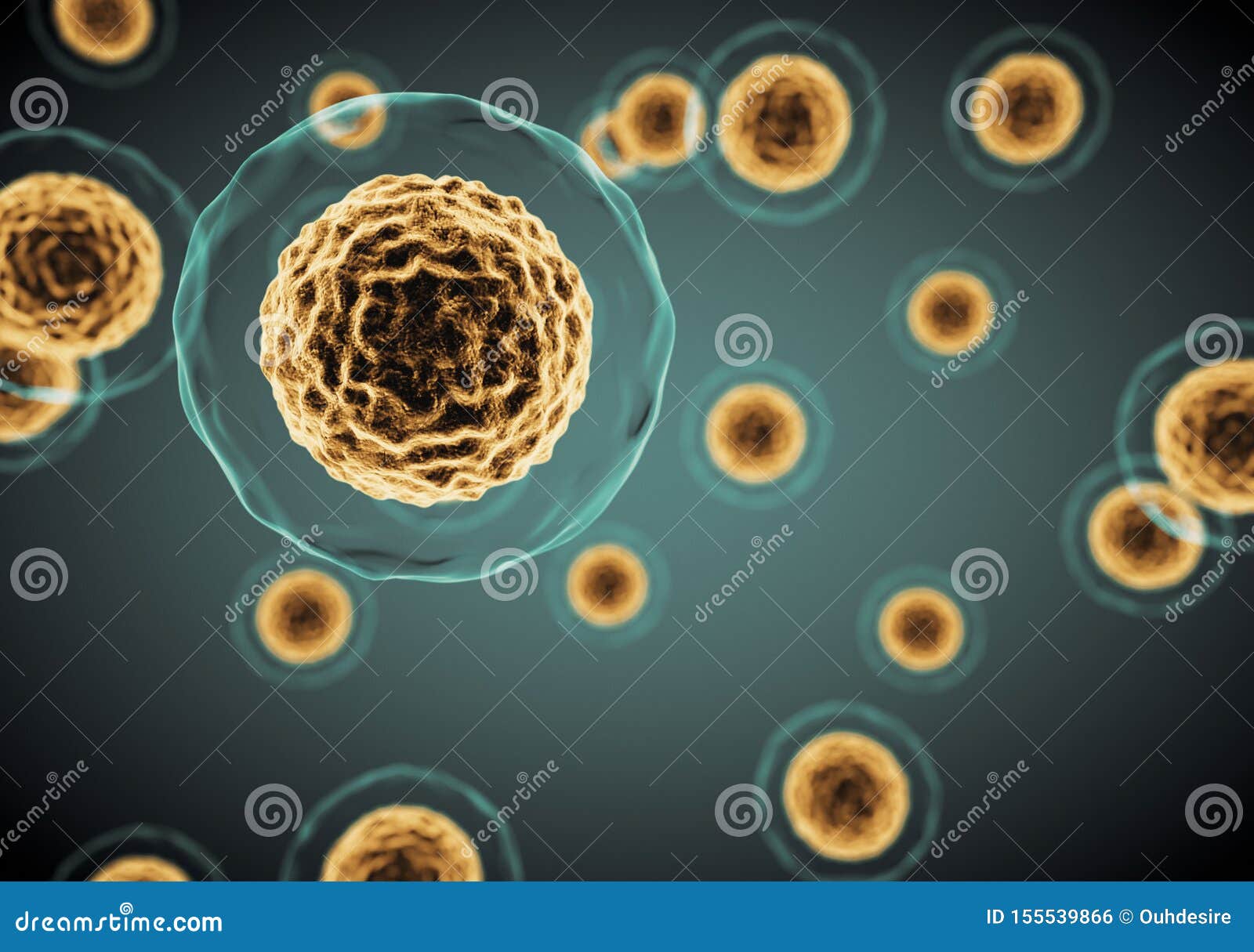 Cells View Under a Microscope. Stock Illustration - Illustration of ...