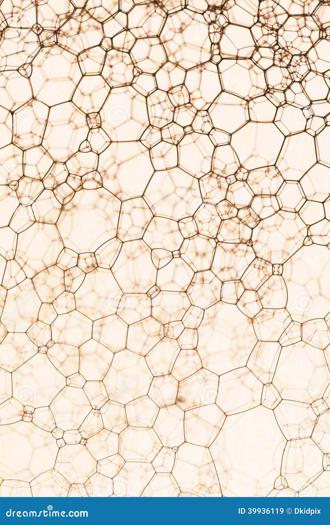 Silhouette Spider Cell Red Background Stock Photos - Free & Royalty ...