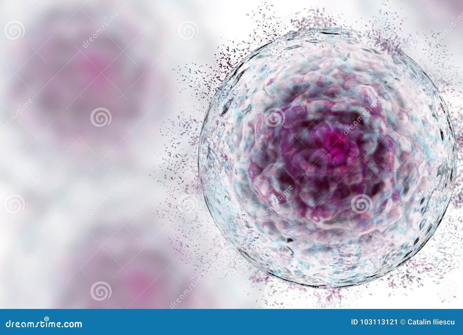 Cellula Staminale Con Il Mazzo Della Proteina, Decostruente Cellula ...