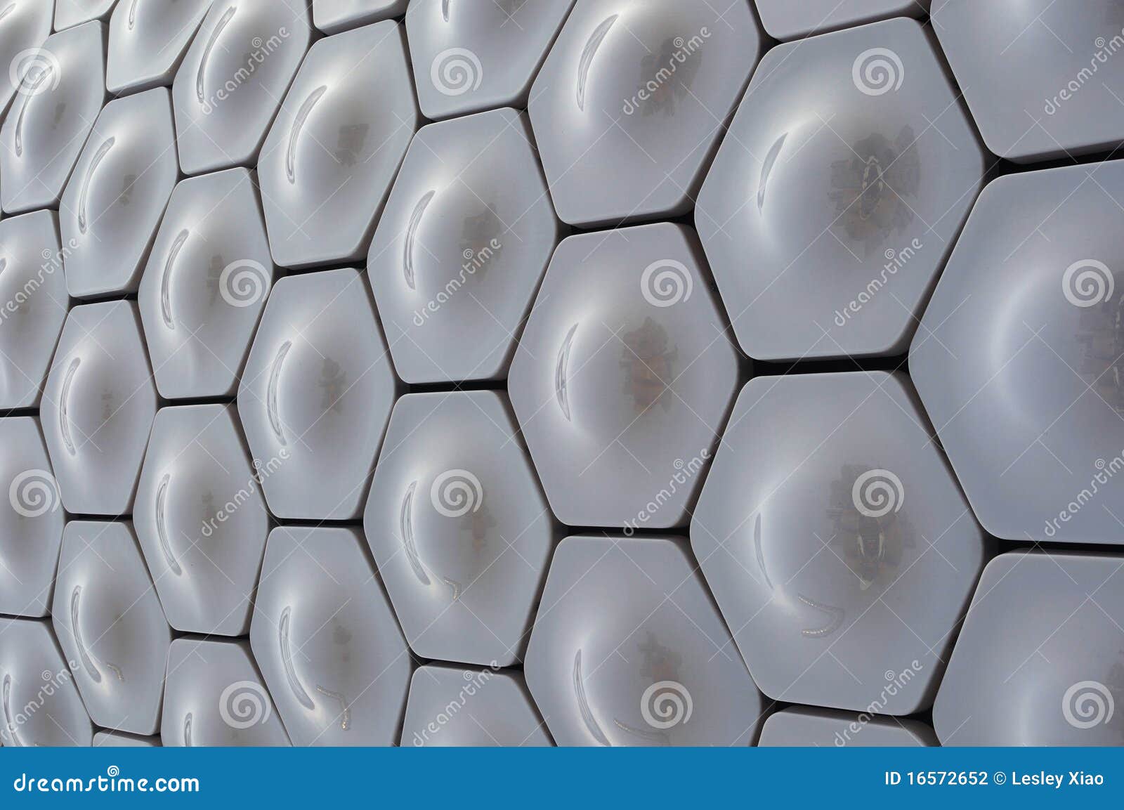 Cellular background stock photo. Image of background - 16572652
