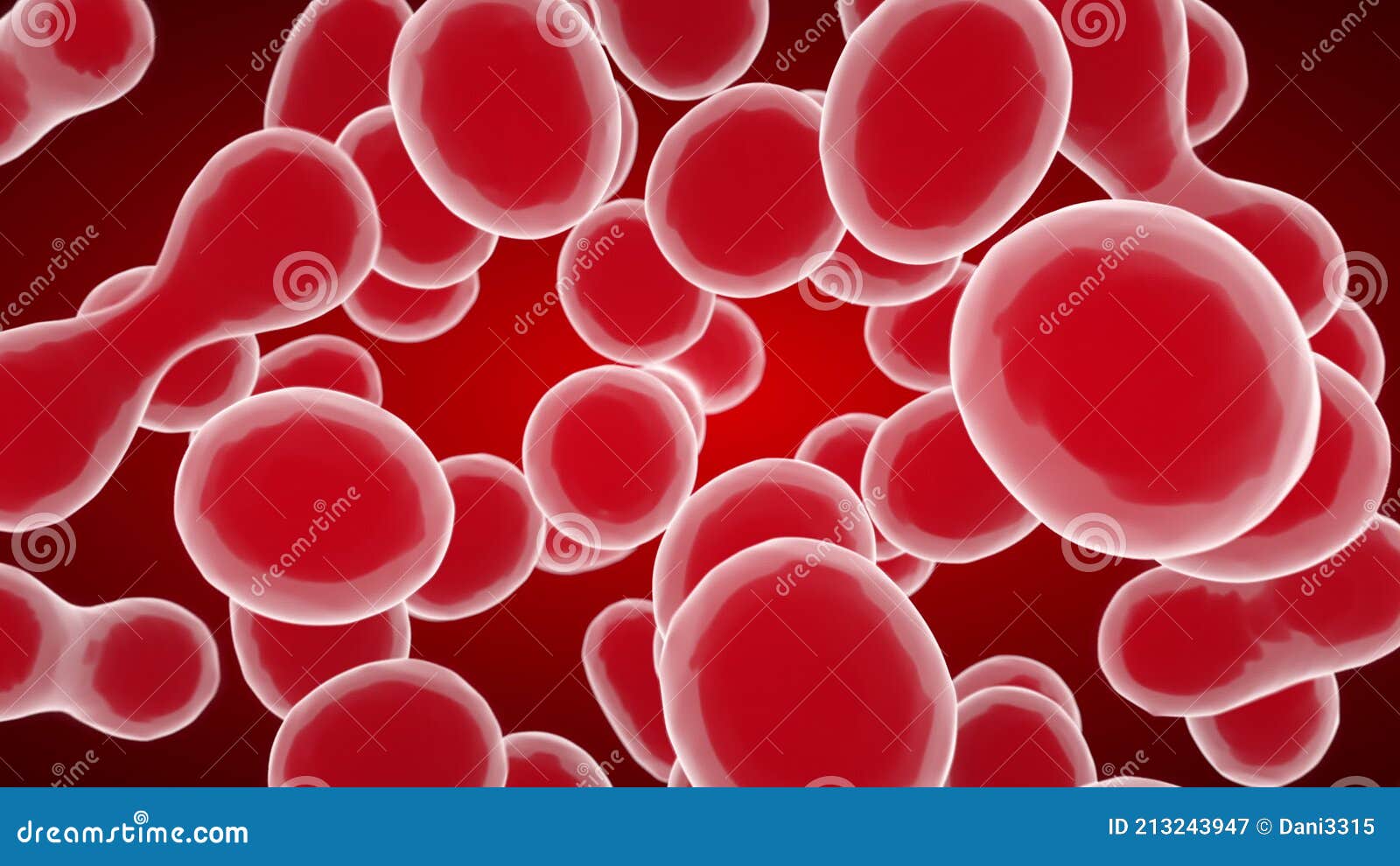 Cellular Division Under Microscope. Mitosis, the Process of Cell ...