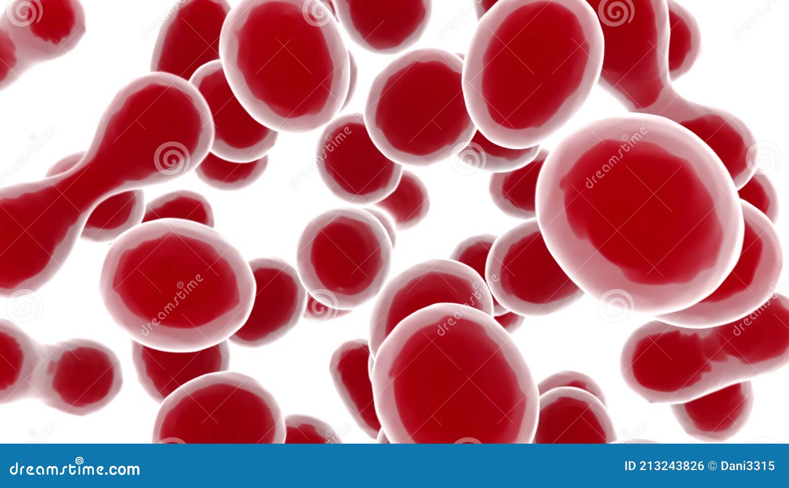 Meiosis Cartoons, Illustrations & Vector Stock Images - 1211 Pictures ...