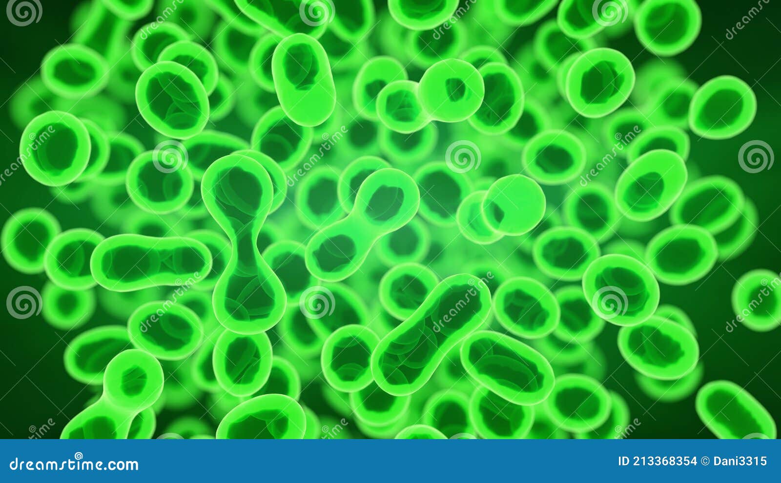 Cellular Division Under Microscope. Mitosis, the Process of Cell ...