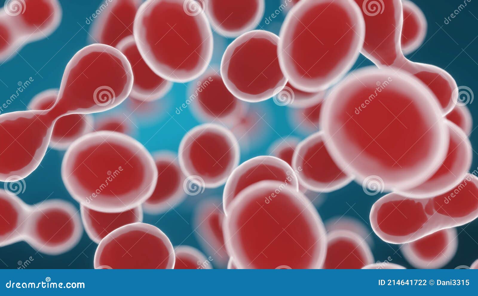 Cellular Division Under Microscope. Mitosis, the Process of Cell ...