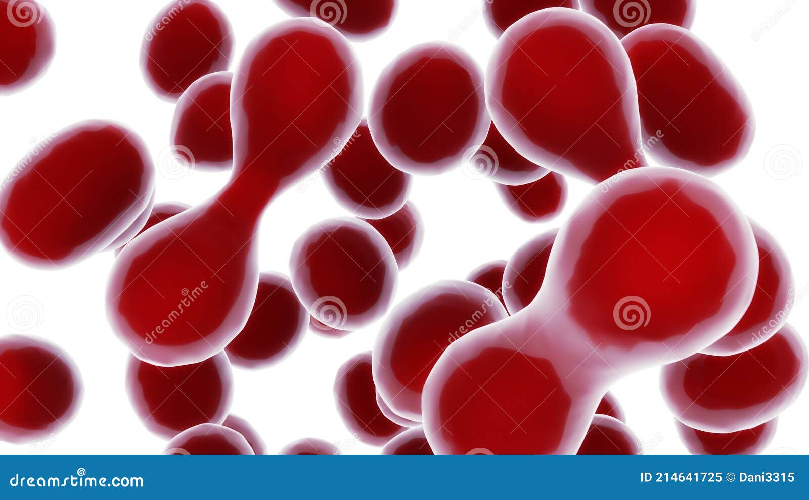 Cellular Division Under Microscope. Mitosis, the Process of Cell ...