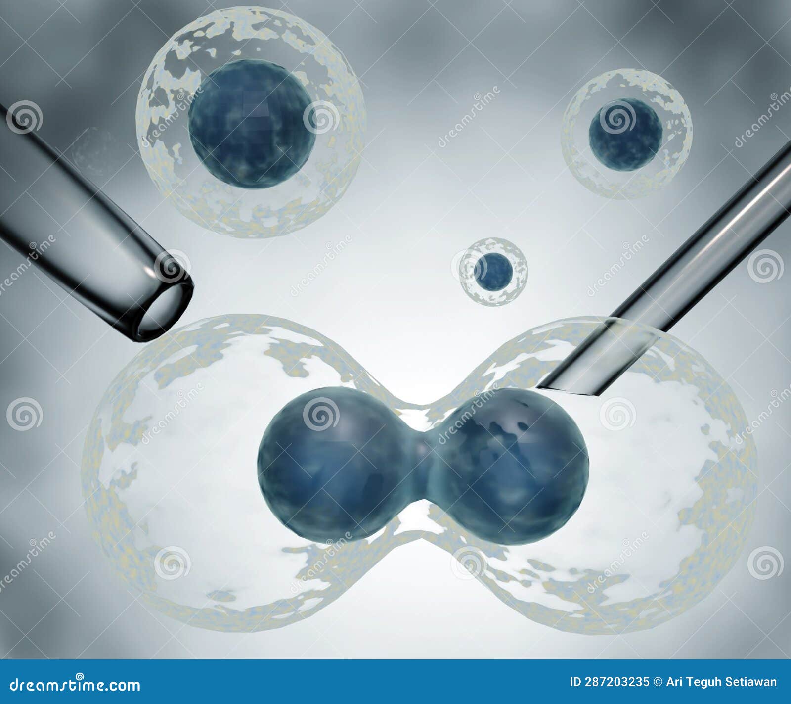 Propagating Biological Cells with Syringe and Pipette Stock ...