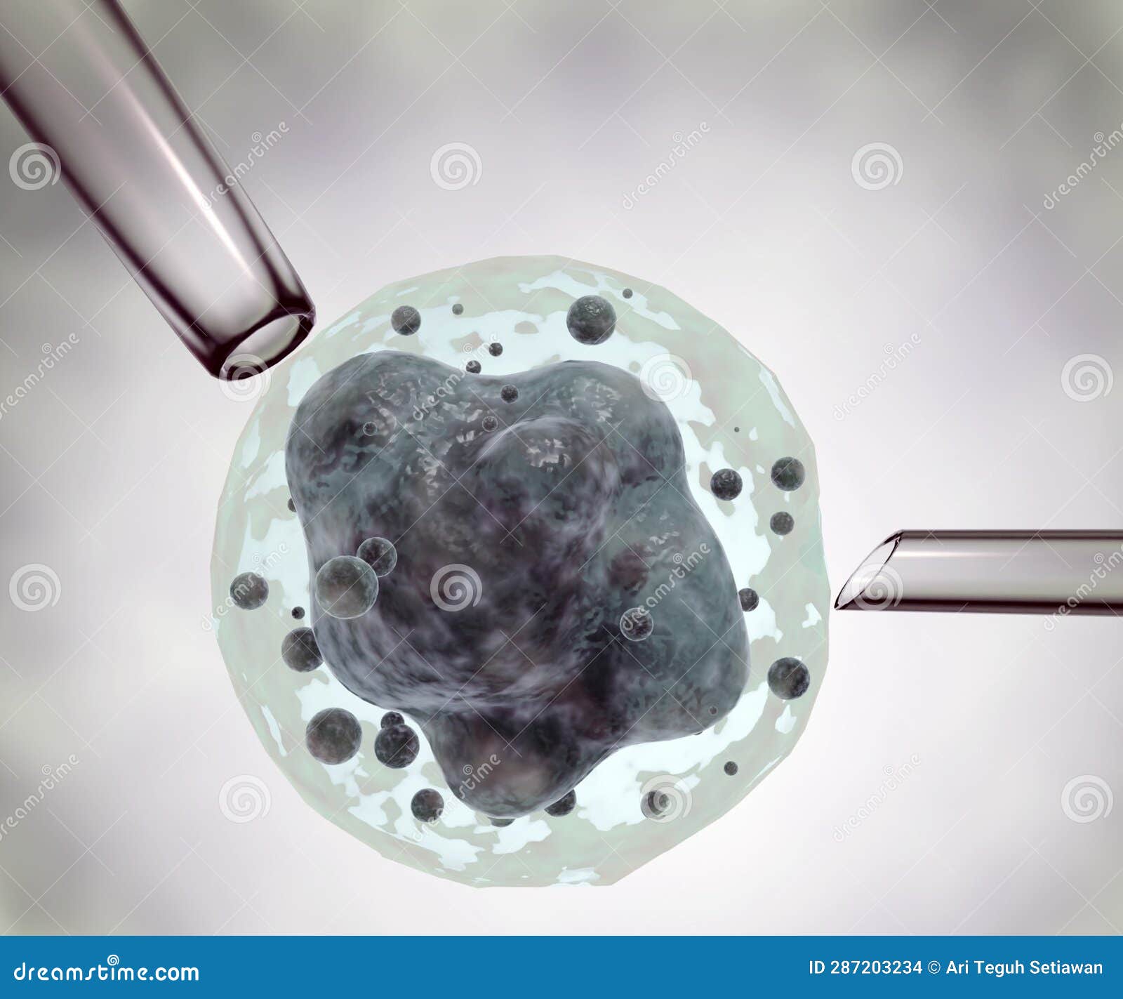 Isolated Living Cell with Syringe and Pipette Stock Illustration ...