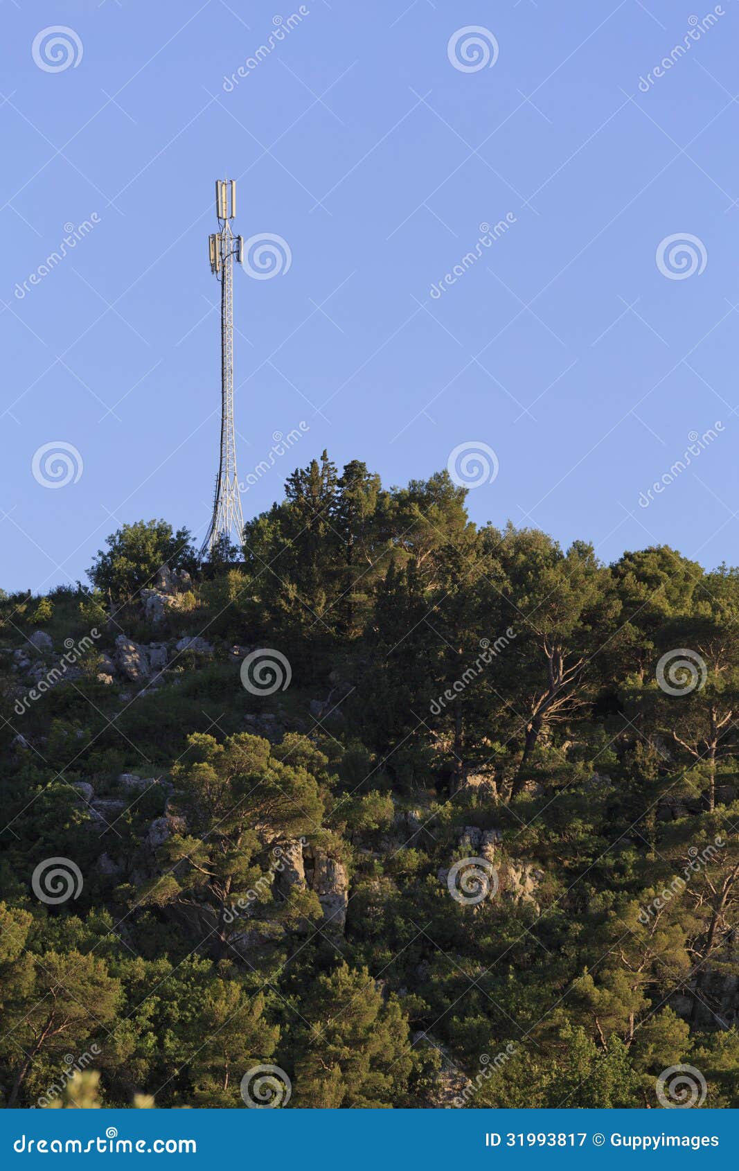 Cellular mast and trees stock image. Image of telecom - 31993817