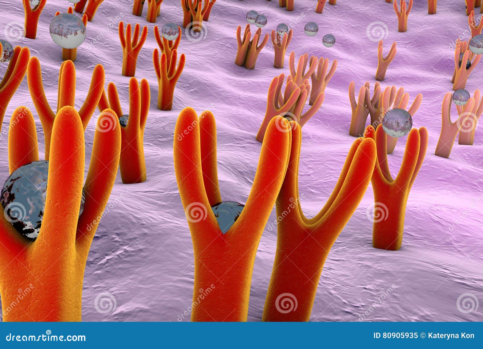 Cellular Membrane with Receptors Stock Illustration - Illustration of ...