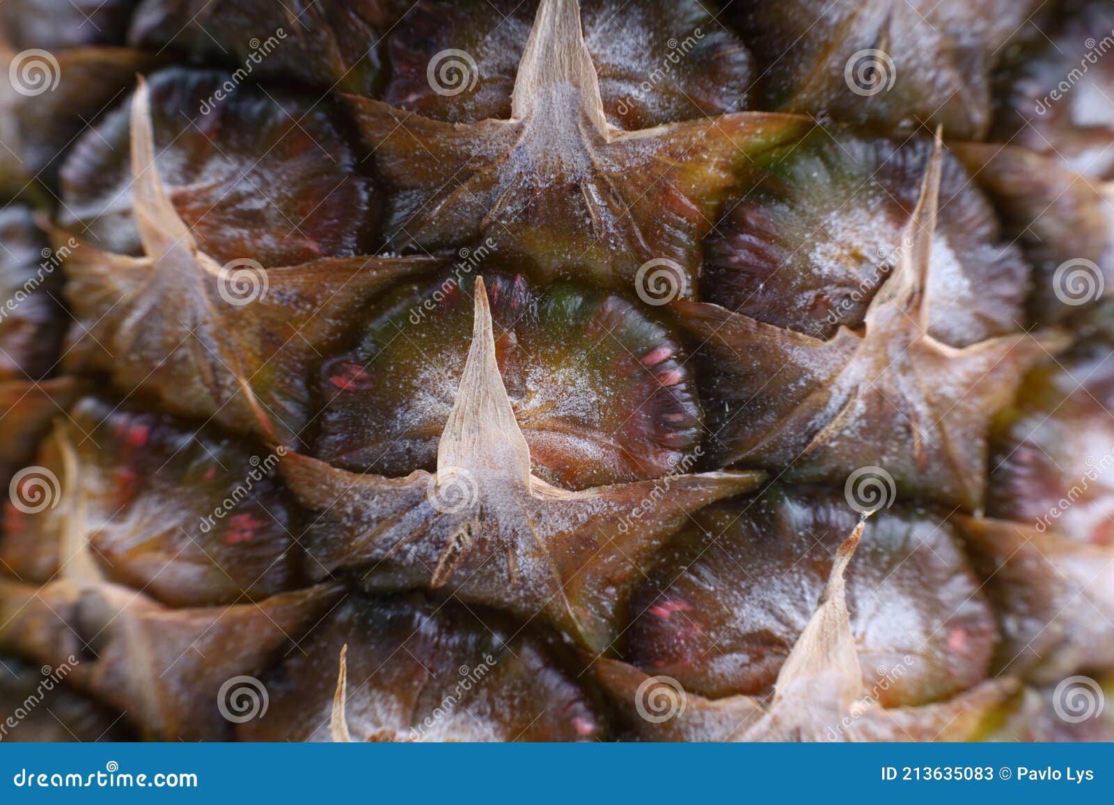 Cellular Pineapple Texture Close Up Stock Image - Image of vitamin ...