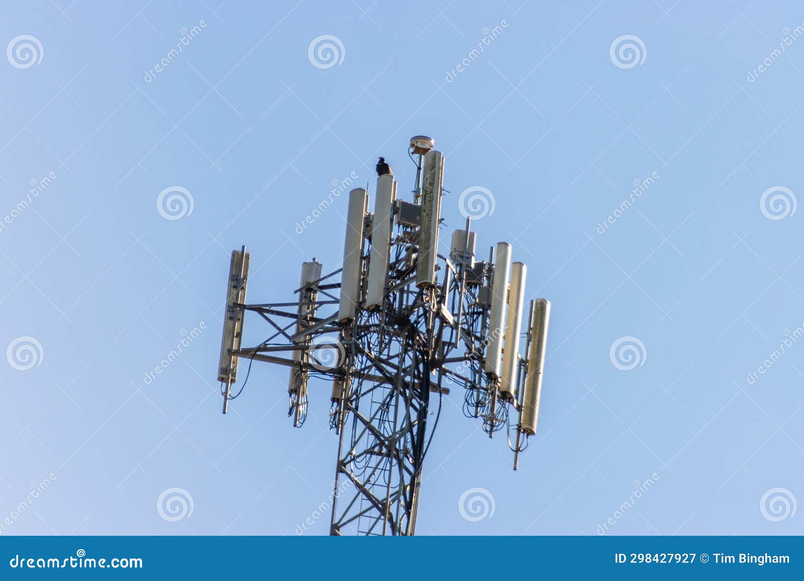 Cellular Radio Phone Tower from the Ground Stock Image - Image of tall ...