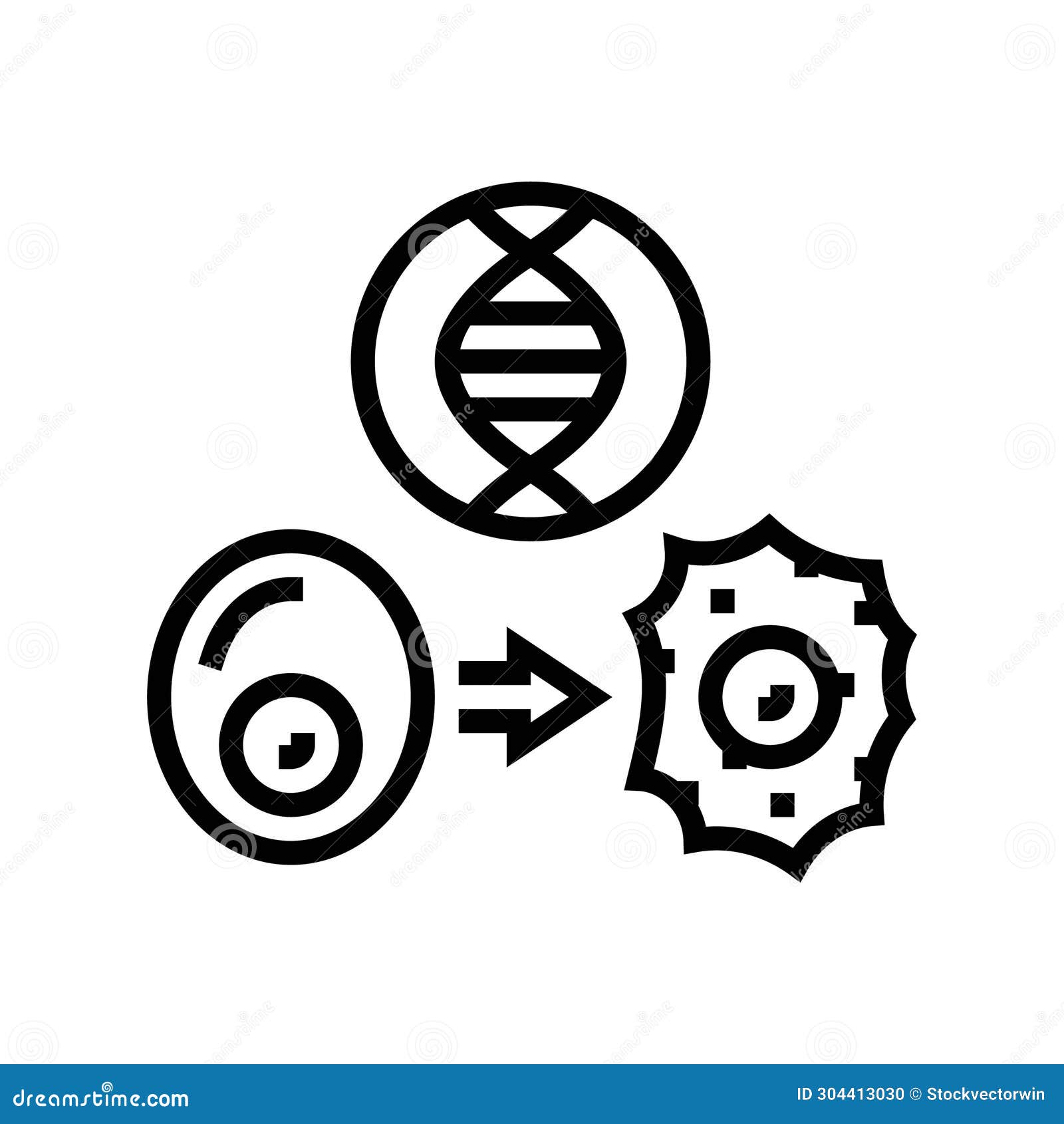 Cellular Reprogramming. Yamanaka Factors. Regenerative Medicine Vector Illustration ...