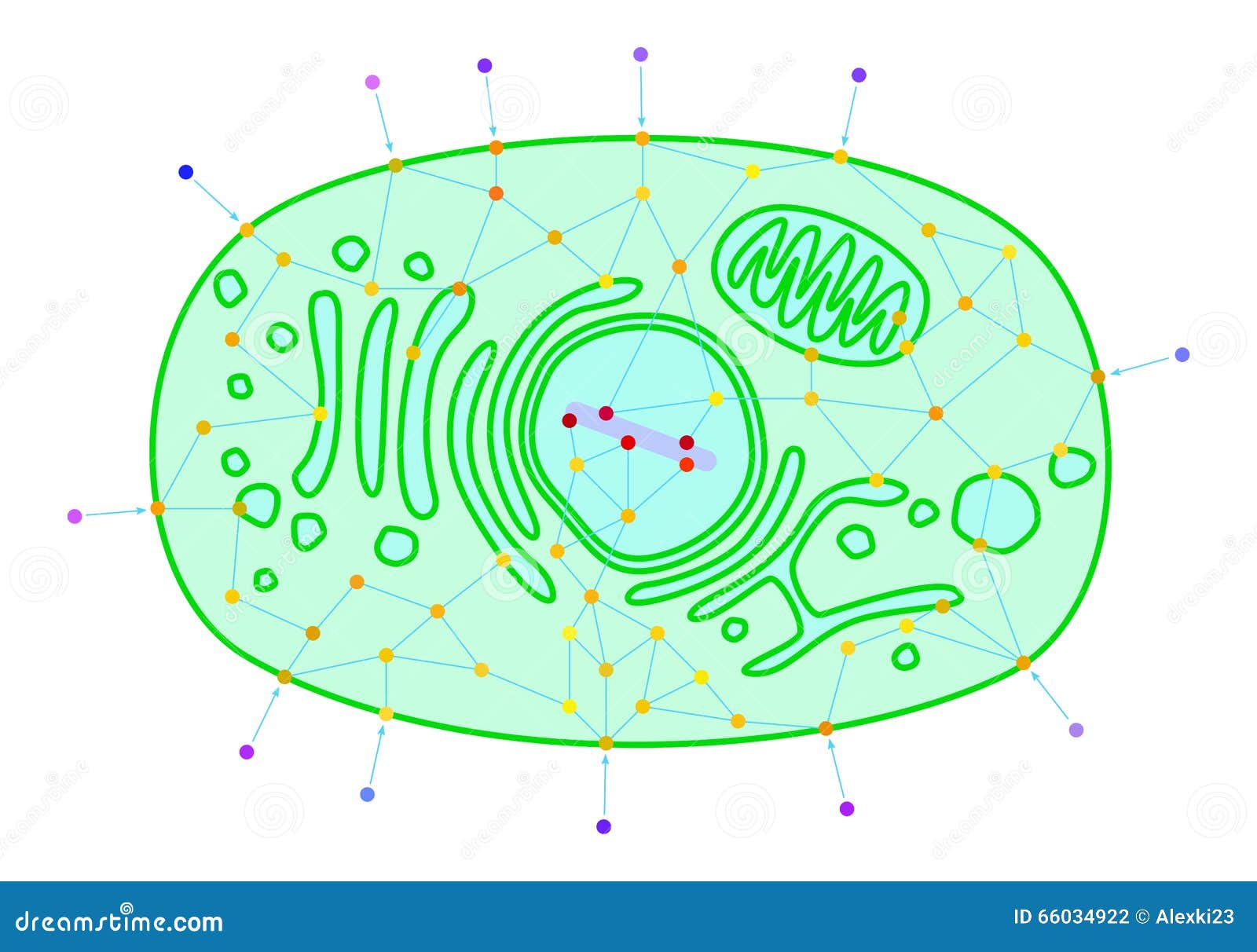 Cellular signalling stock illustration. Illustration of biochemistry ...