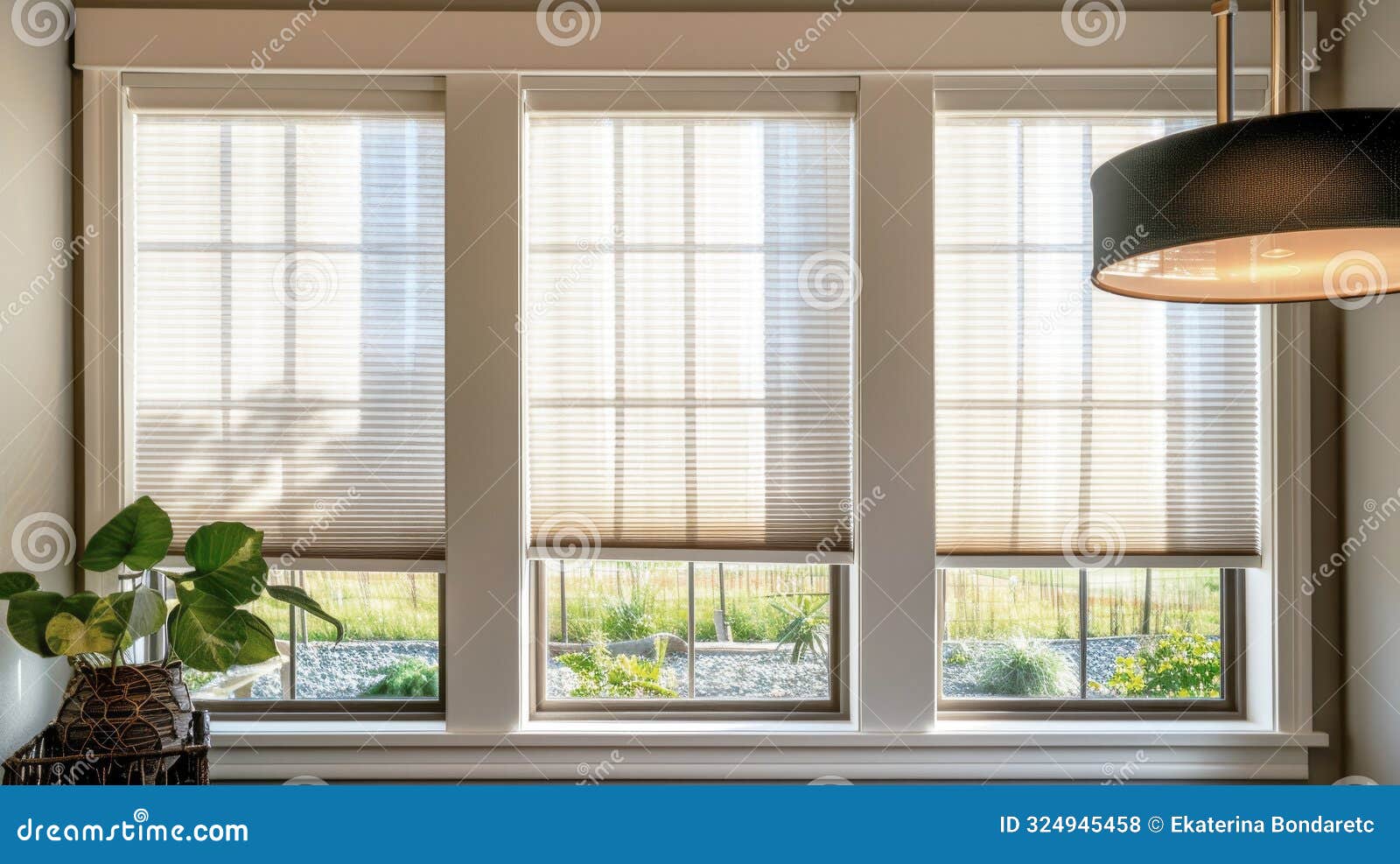 Cellular Window Shades in the Interior of a Modern House. Stock ...