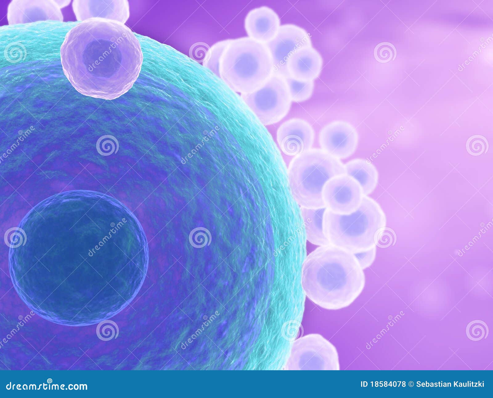 Cellule d'ovule humain illustration stock. Illustration du ...