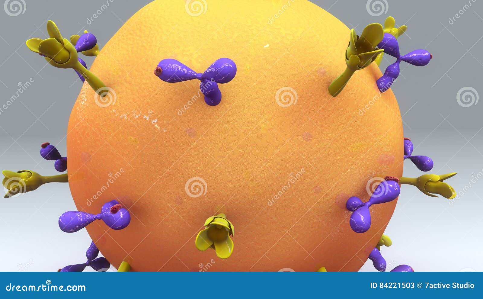Cellule de plasma illustration stock. Illustration du anticorps - 84221503