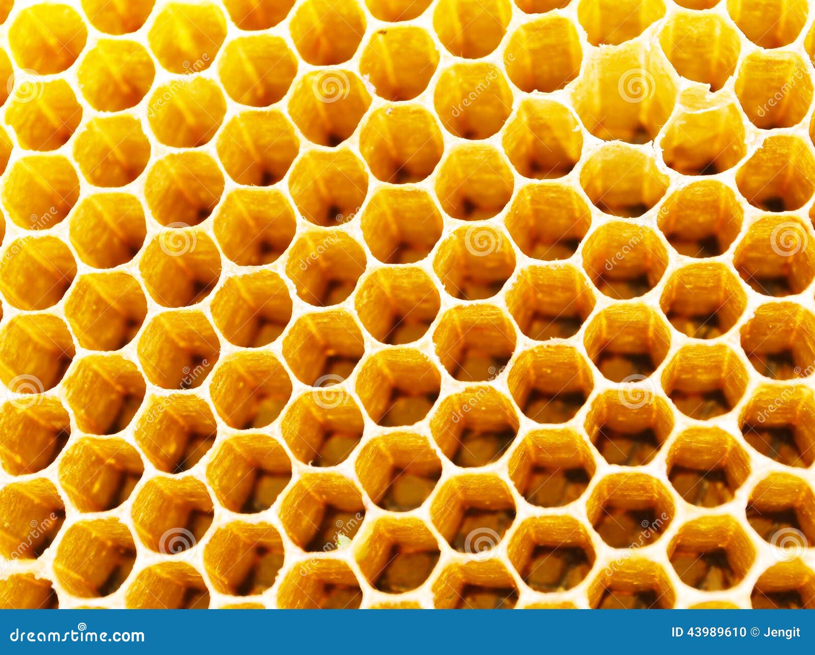 Cellule Del Miele Delle Api Fotografia Stock - Immagine di medicina ...