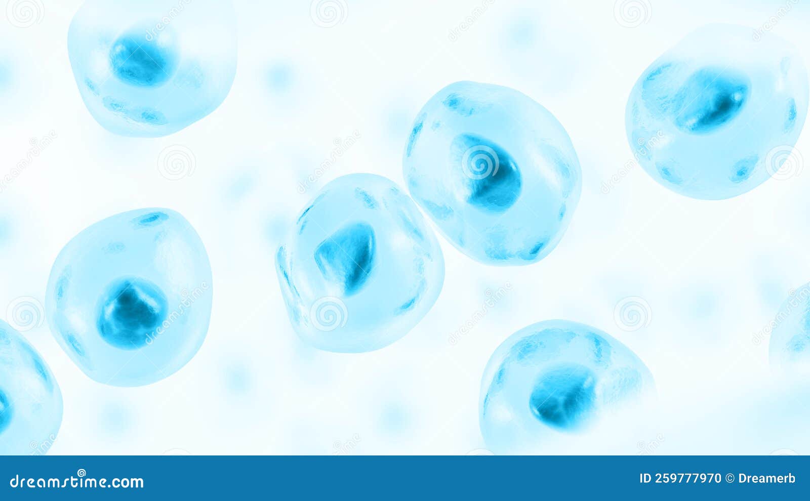 Cellule Embryonnaire. Cellule Humaine. Illustration Stock ...